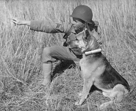 New River to Camp Lejeune | NC DNCR