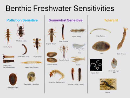 NC DEQ: Water Quality Permitting