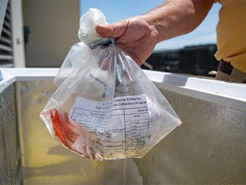 NC DEQ: Science and Statistics