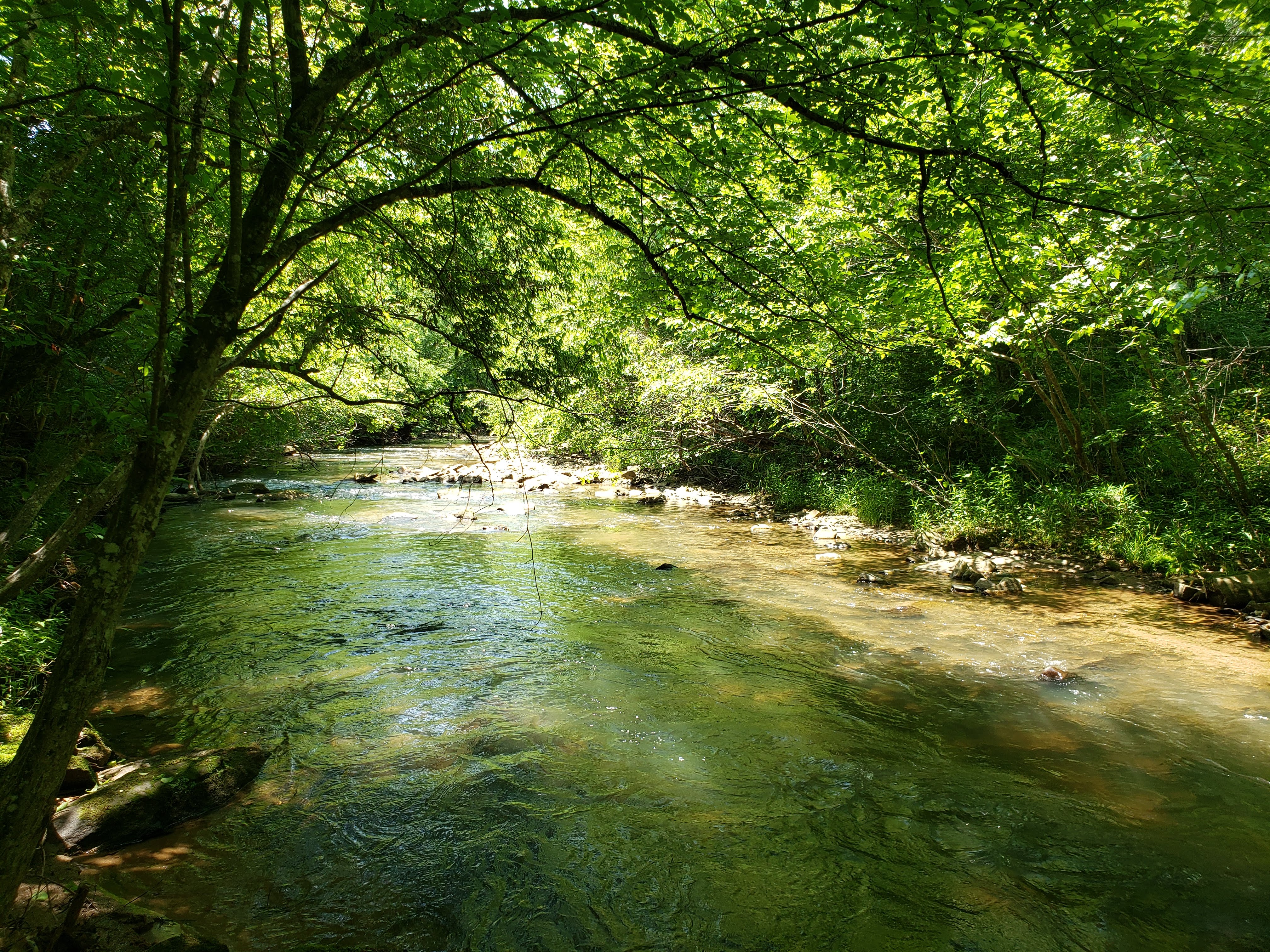 Bobs Creek State Natural Area | NHP