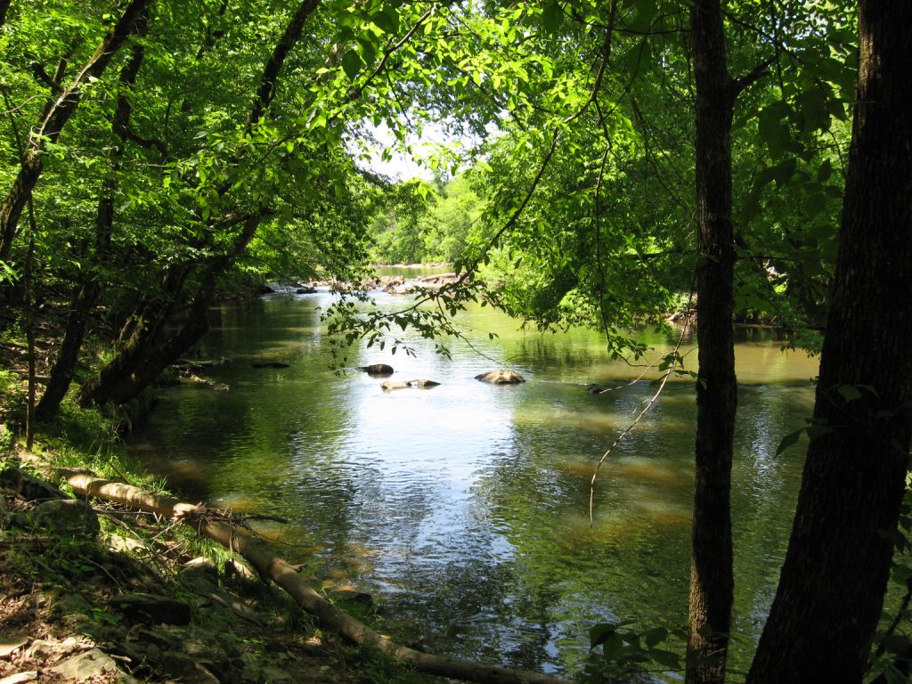 Freshwater Ecosystems | NHP