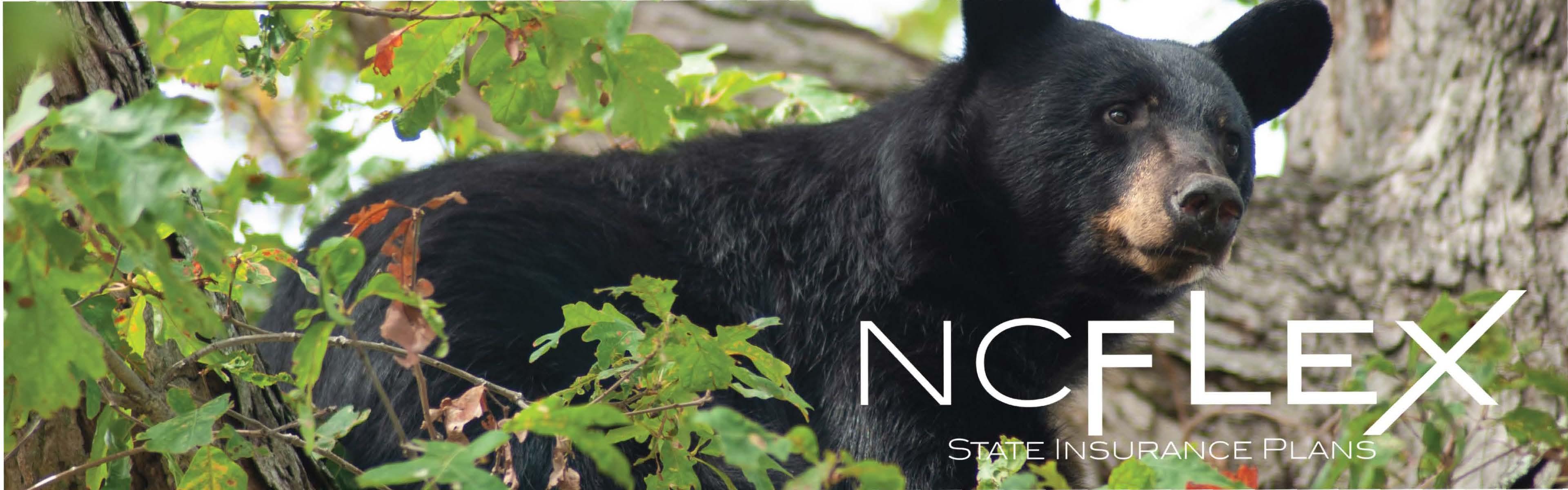 NCFlex | NC Office of Human Resources