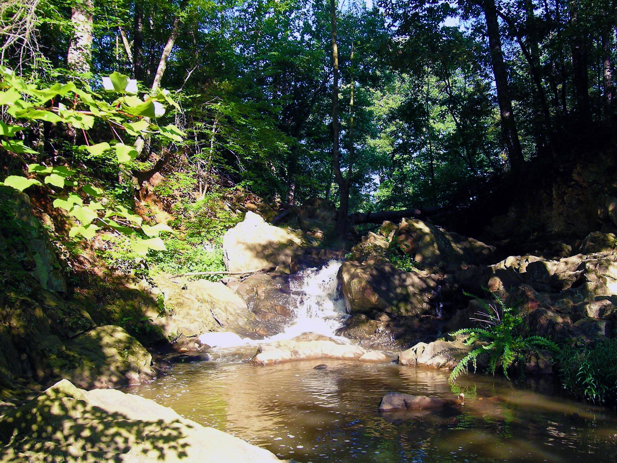 Eno River State Park – Pleasant Green Access | NC State Parks