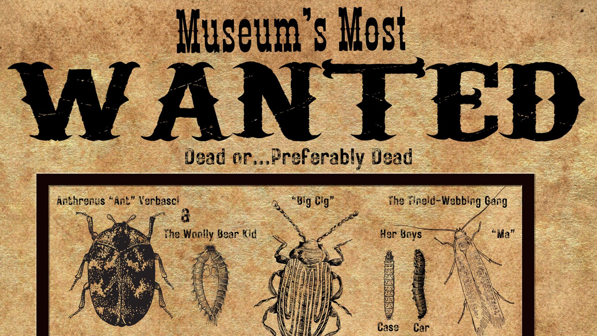 Museums-Most-Wanted-1.jpg | NC State Parks
