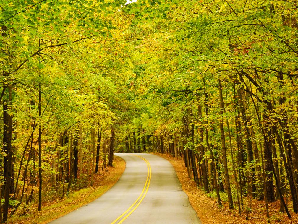 William B. Umstead State Park – Crabtree Creek Access | NC State Parks