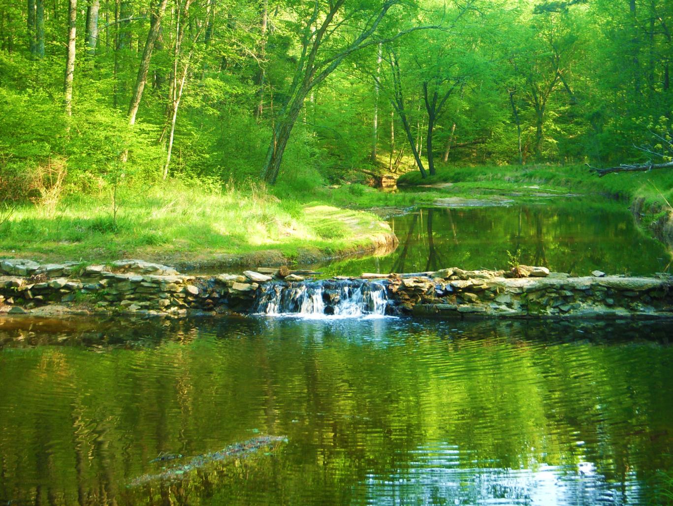 William B. Umstead State Park – Reedy Creek Access | NC State Parks