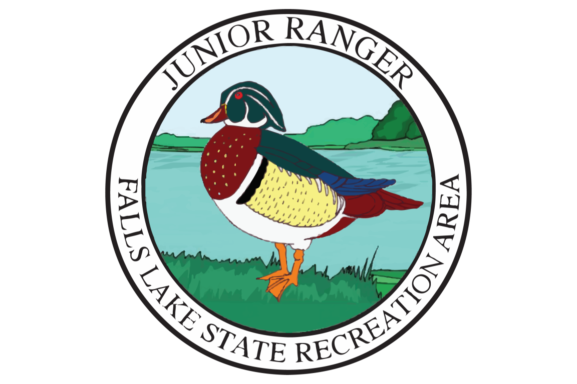 Junior Ranger Program | NC State Parks