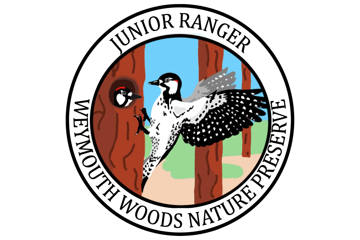 Junior Ranger Program | NC State Parks