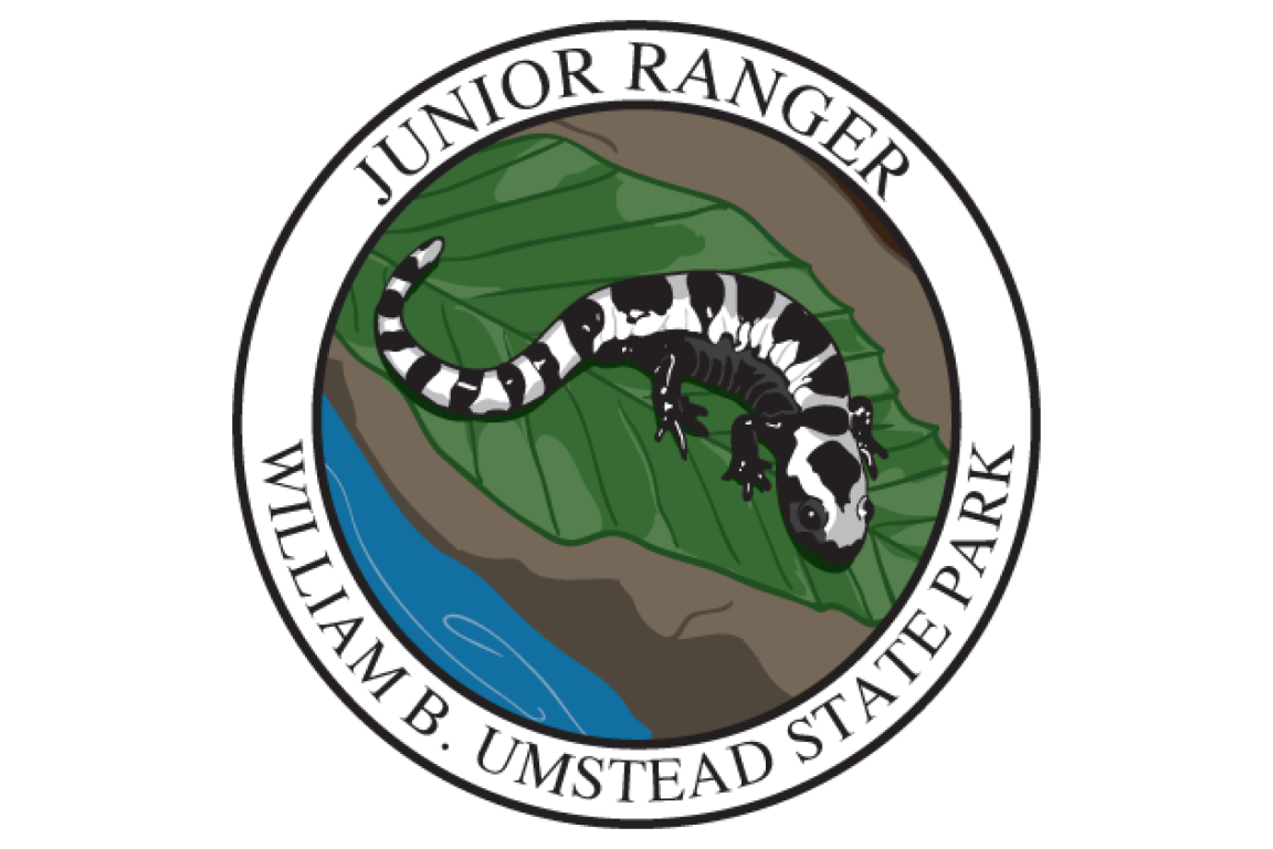 Junior Ranger Program | NC State Parks