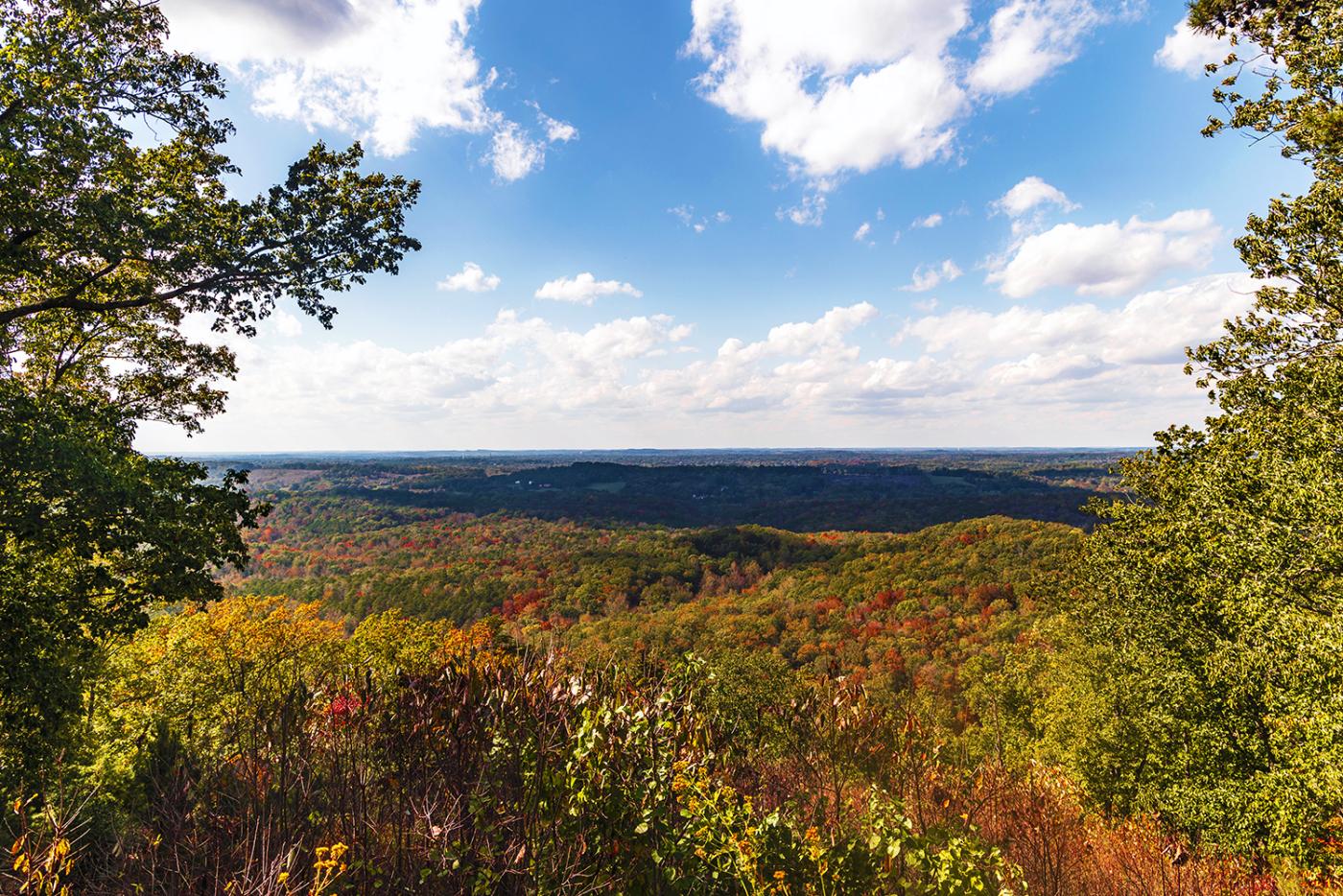 Fall colors at Morrow Mountain State Park