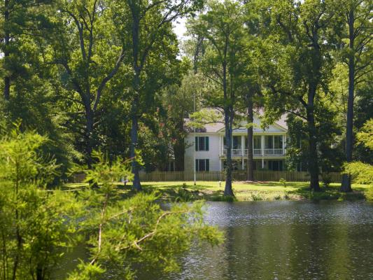 Carvers Creek State Park – Long Valley Farm Access | NC State Parks