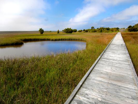 Fort Fisher State Recreation Area | NC State Parks
