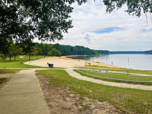 Jordan Lake State Recreation Area – Ebenezer Church Access | NC State Parks