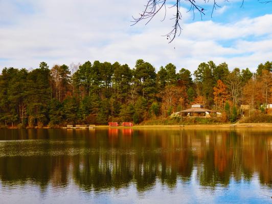 Lake Norman State Park | NC State Parks