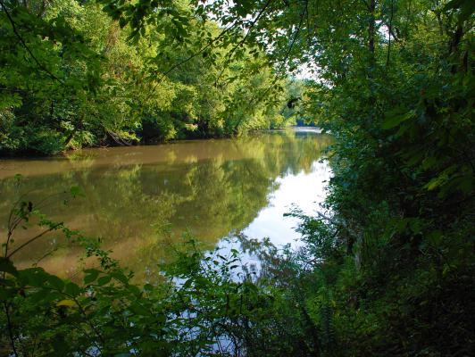Mayo River State Park – Hickory Creek Access | NC State Parks