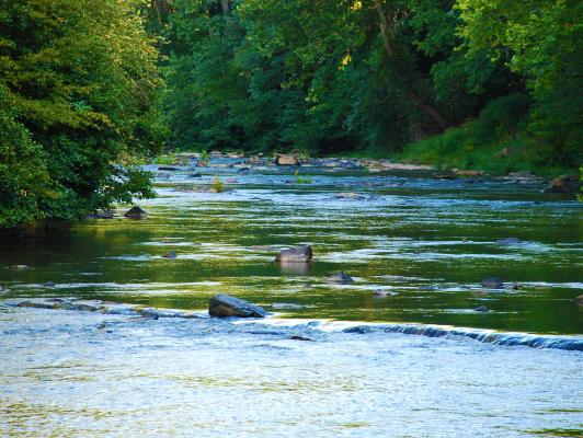 Mayo River State Park – Mayodan Access | NC State Parks