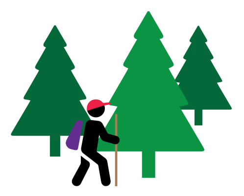 Junior Ranger Program | NC State Parks