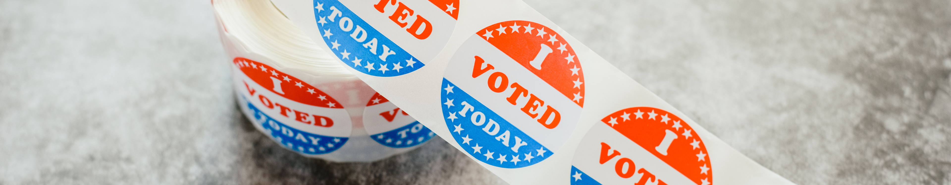 Vote in Person on Election Day | NCSBE