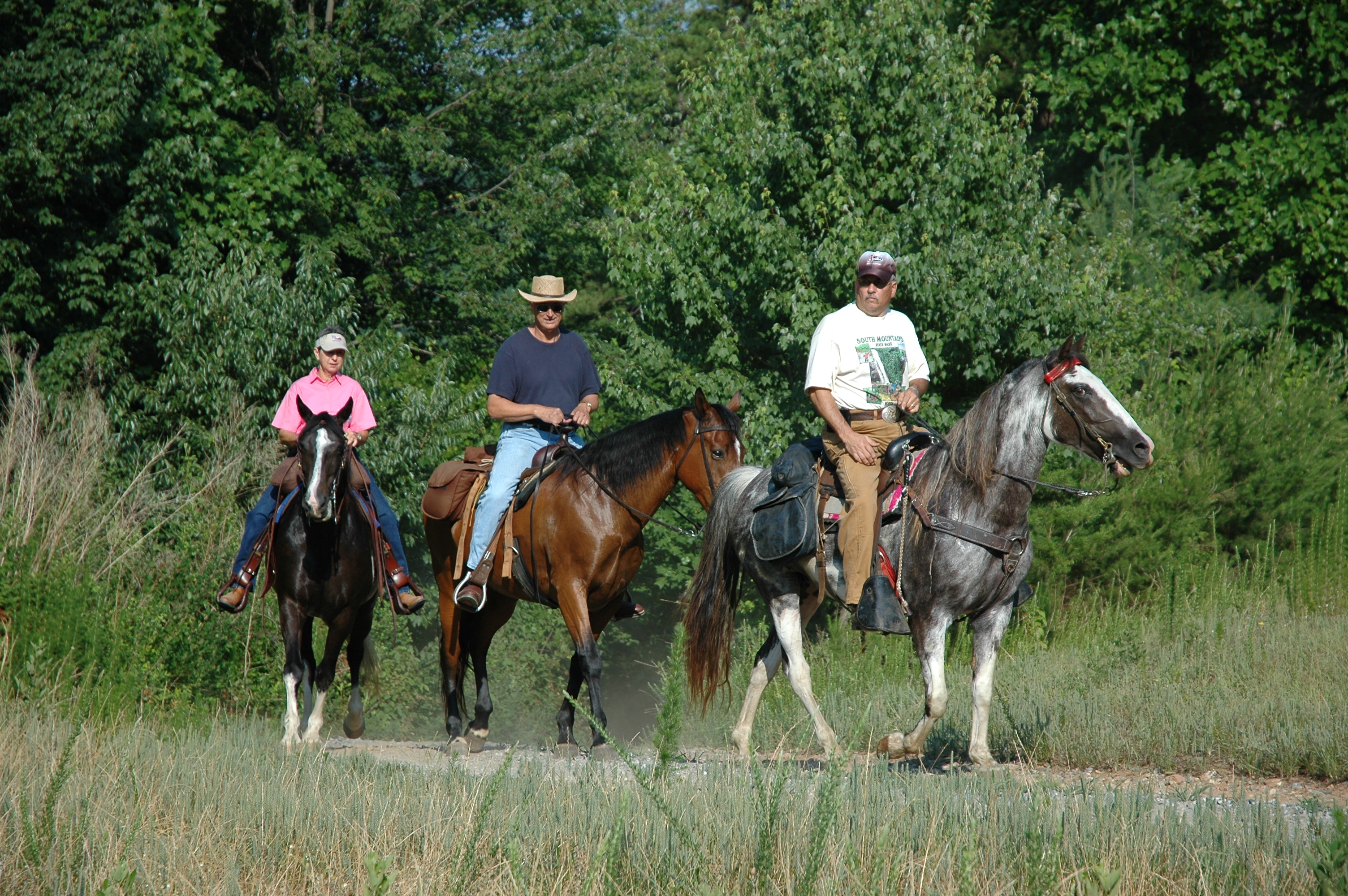 Equine State Trail | North Carolina Trails